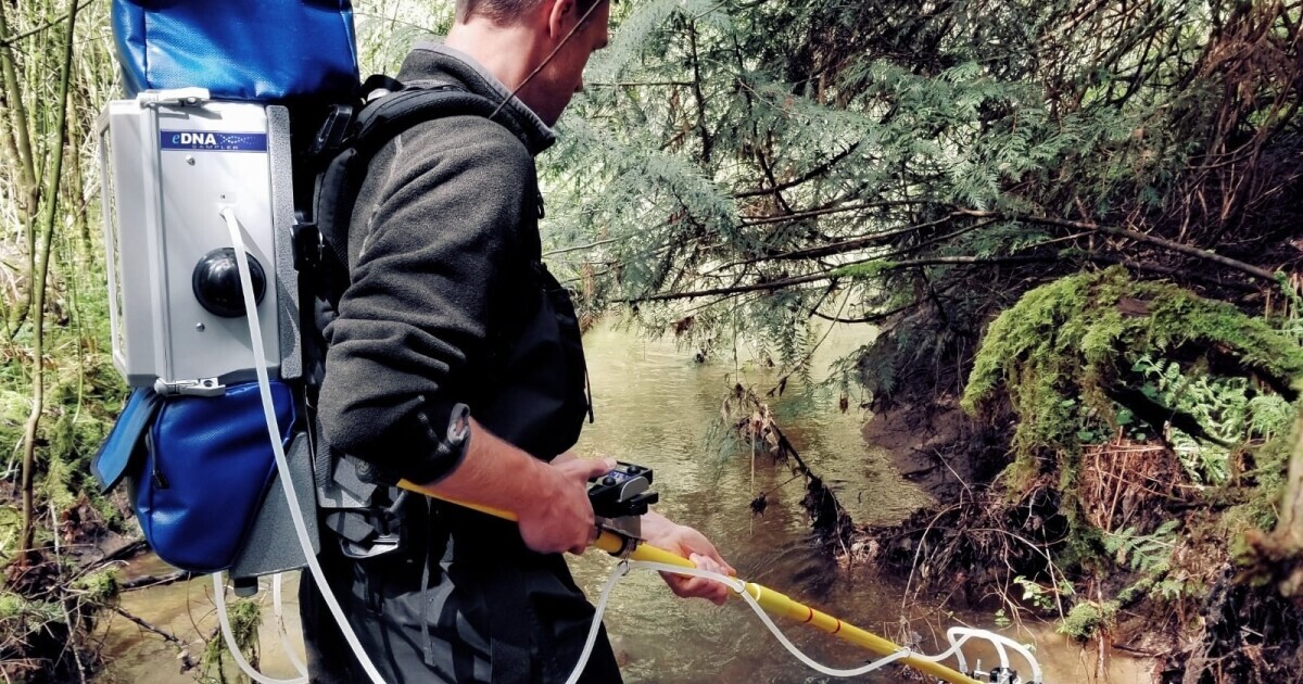 eDNA Backpack Selected as Best Sampling Method for Freshwater Fish ...